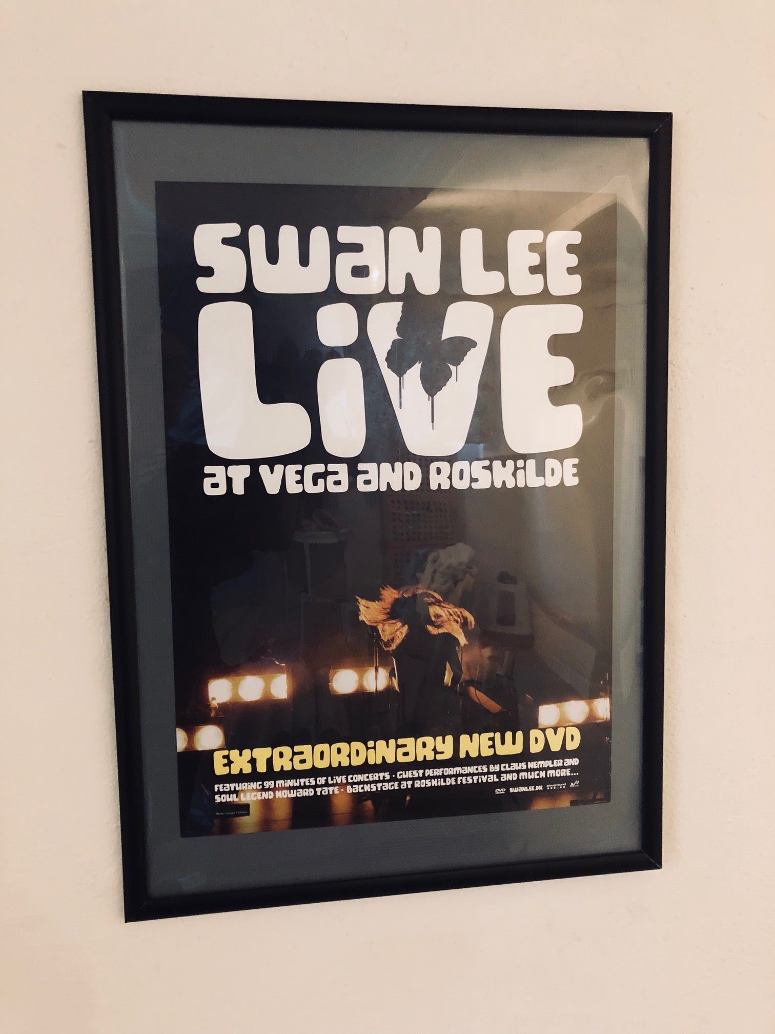 Swan Lee - Live at Vega and Roskilde - Poster – RecordPusher ...