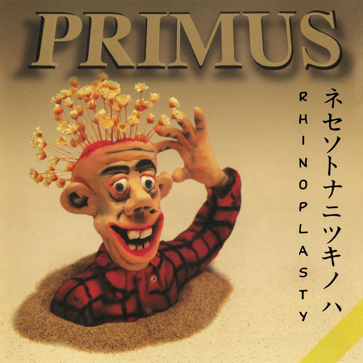 Primus - Rhinoplasty – RecordPusher